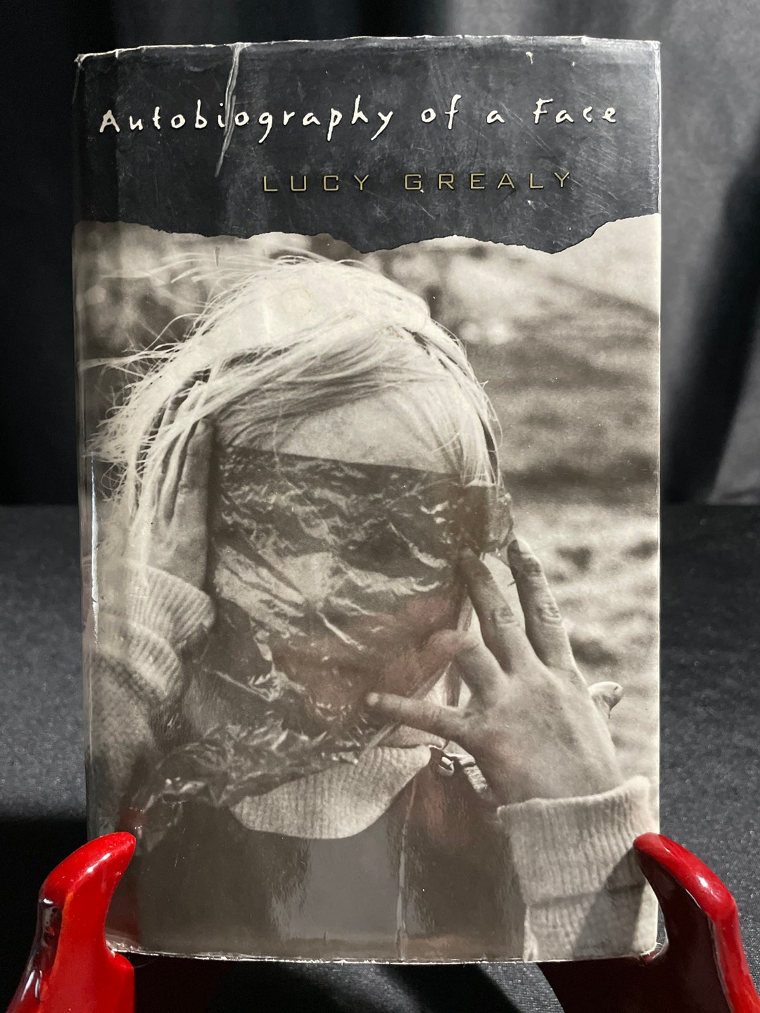 Autobiography of a Face by Lucy Grealy - Etsy