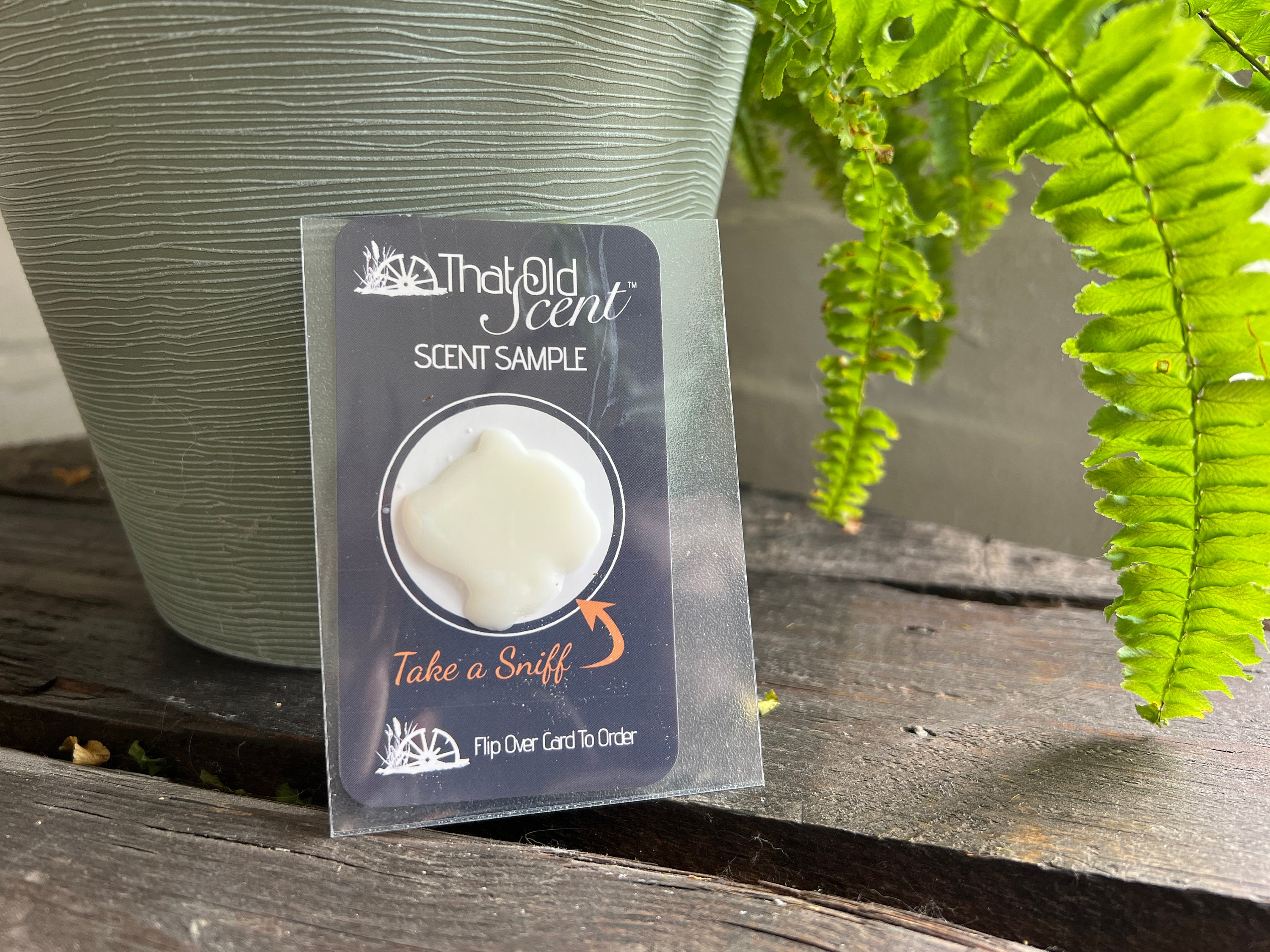 Thatoldscent Candle Sample Scents - Etsy