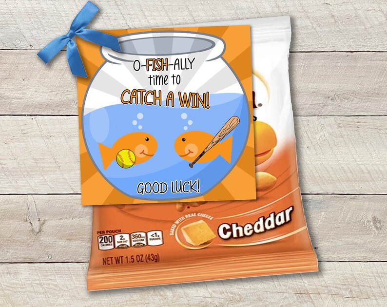 Softball Good Luck Tags O-fish-ally Catch A Win Softball - Etsy