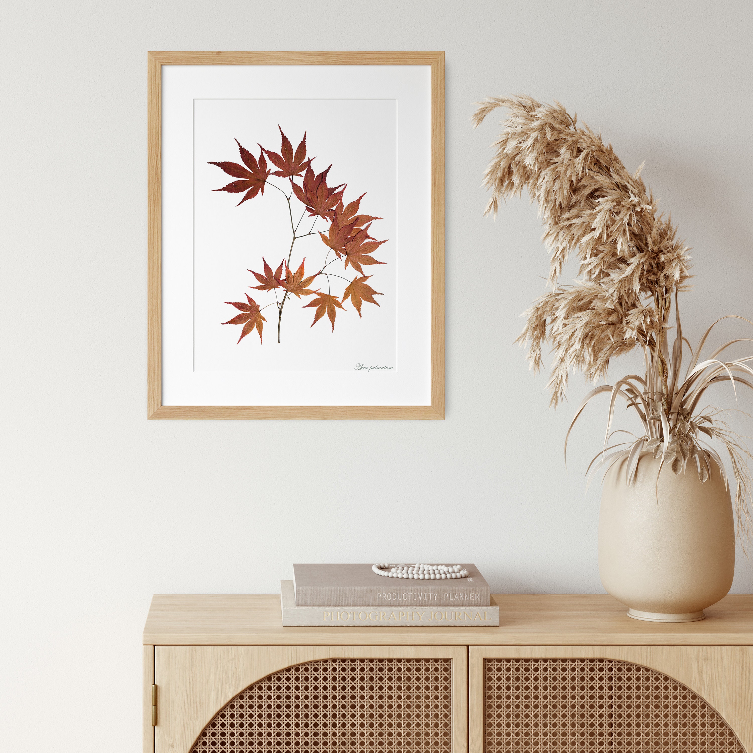 Japanese Maple Large Pressed Leaves Art: Nature's Elegance Framed for ...