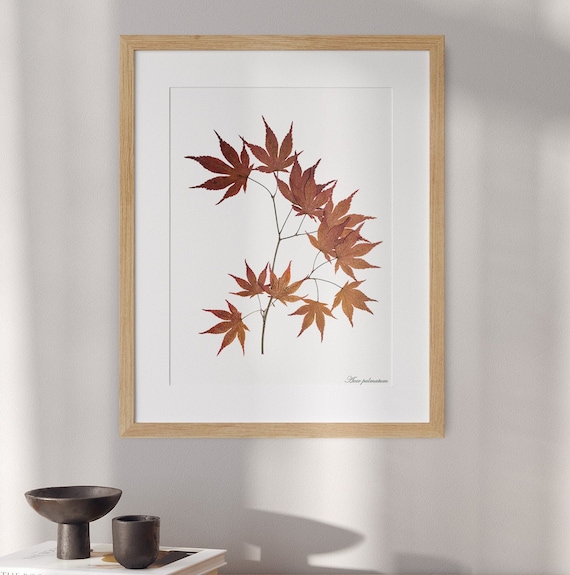 Japanese Maple Leaves Art