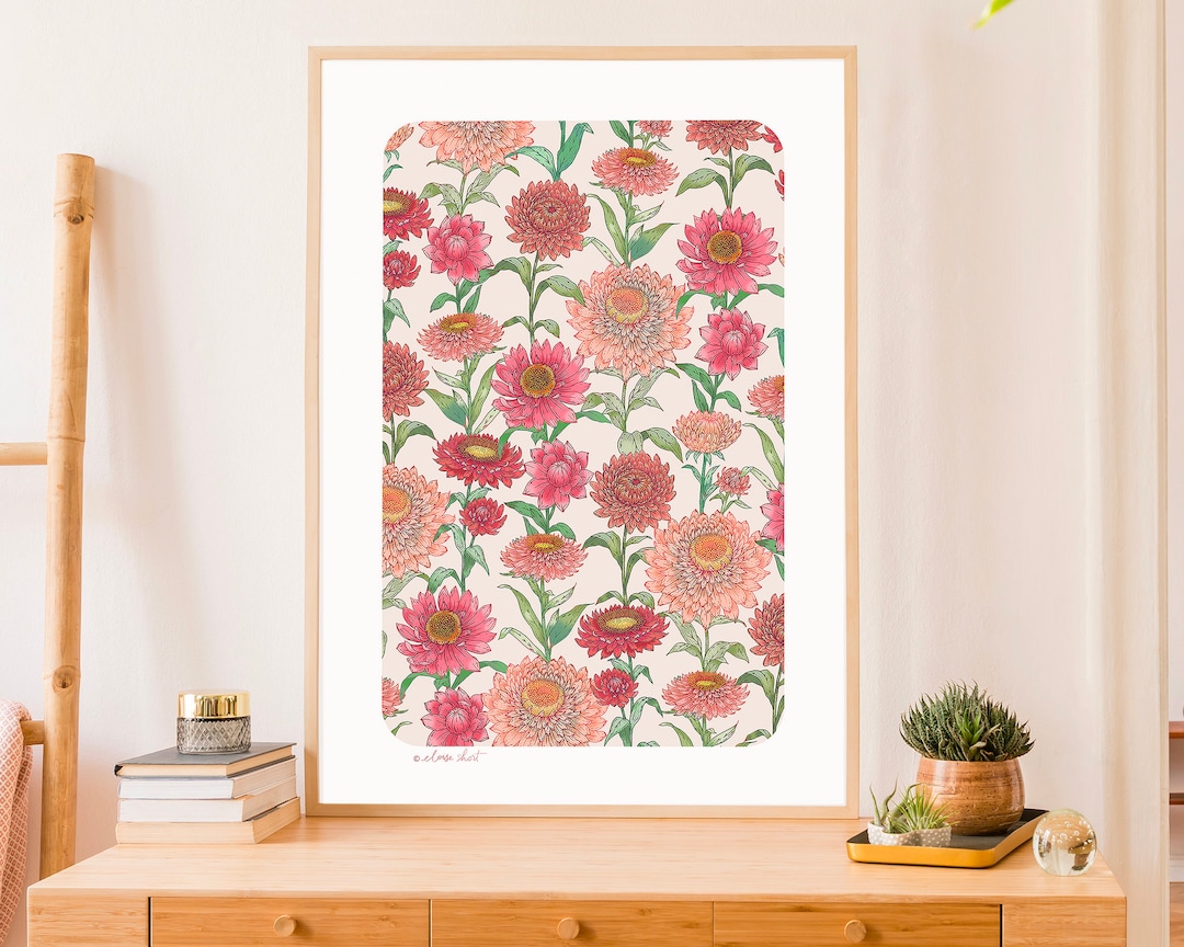Australian, Native, Paper Daisies, Flowers, Floral, Botanical, Drawing ...