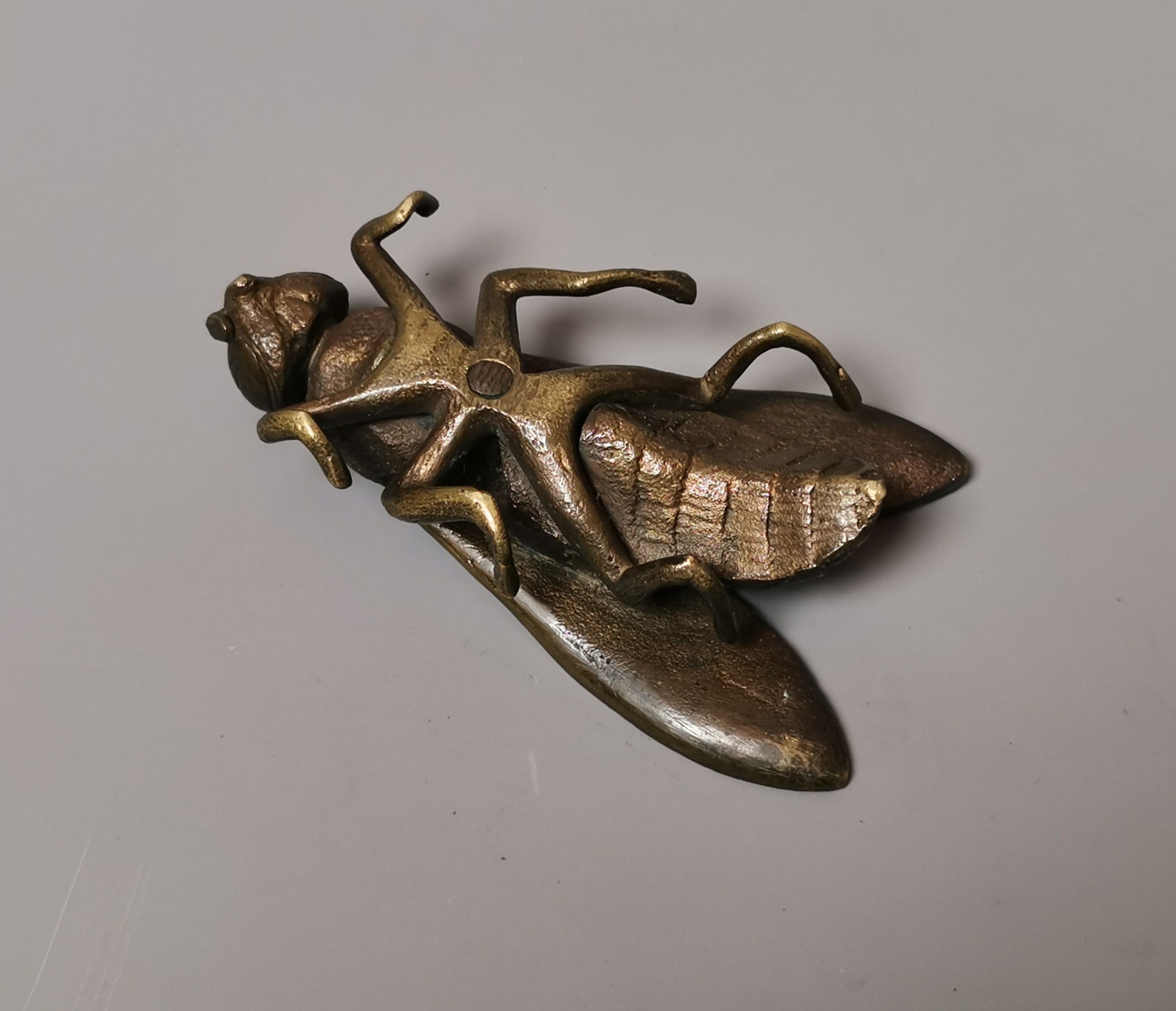 Antique bronze fly sculpture Victorian | Etsy