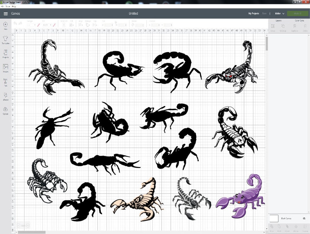 Scorpion SVG Bundle, Scorpion SVG, Scorpion Clipart, Cut Files for ...