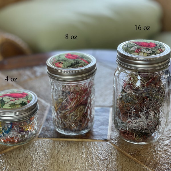 Ort Jar - Etsy