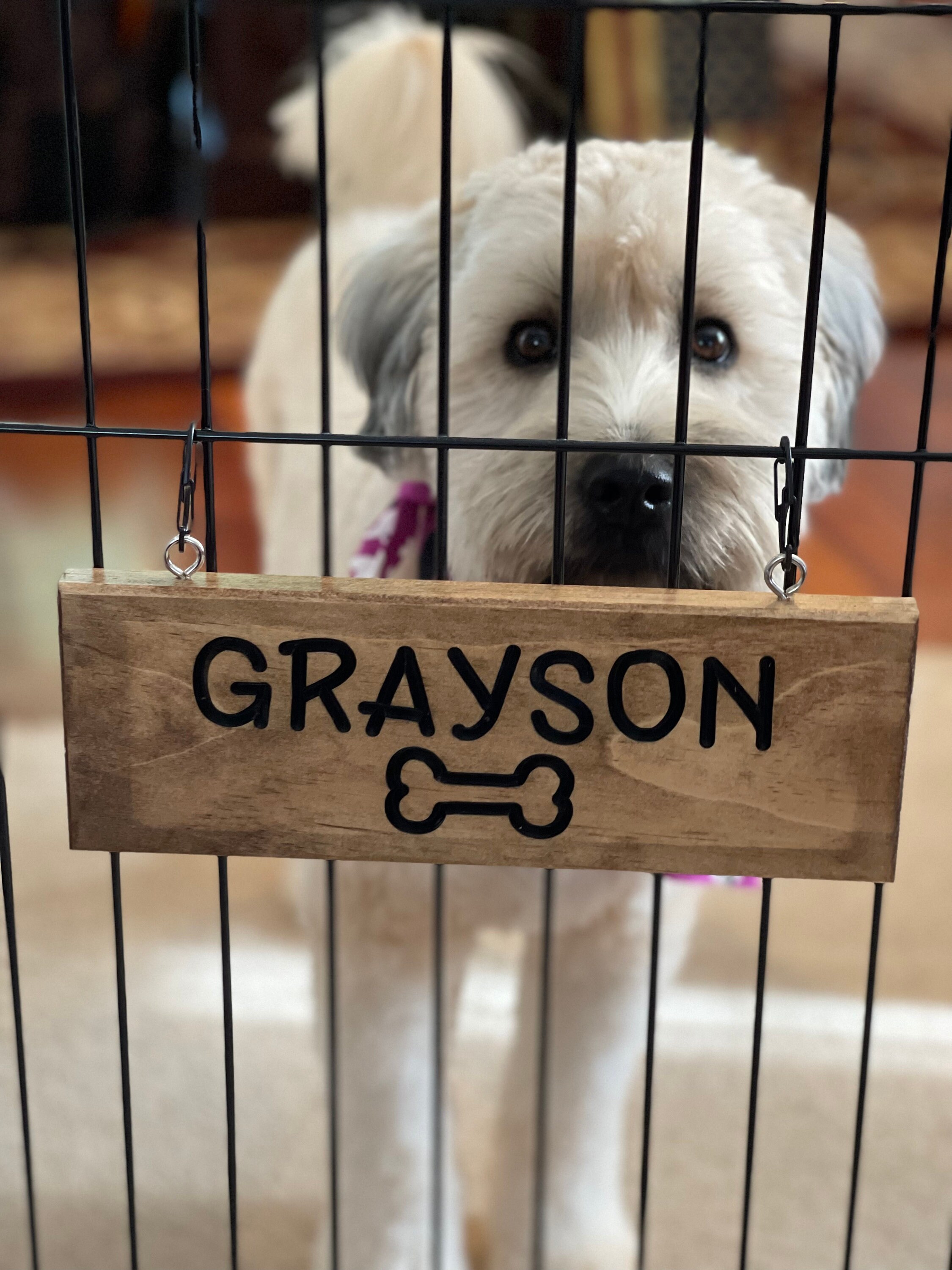 Dog Crate Cage Sign Customized/personalized Dog Gifts/dog - Etsy