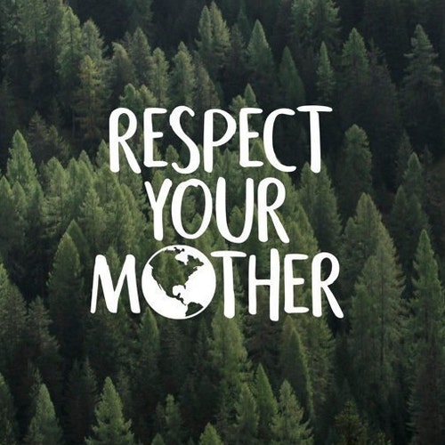 Respect Your Mother Vinyl Decal - Etsy