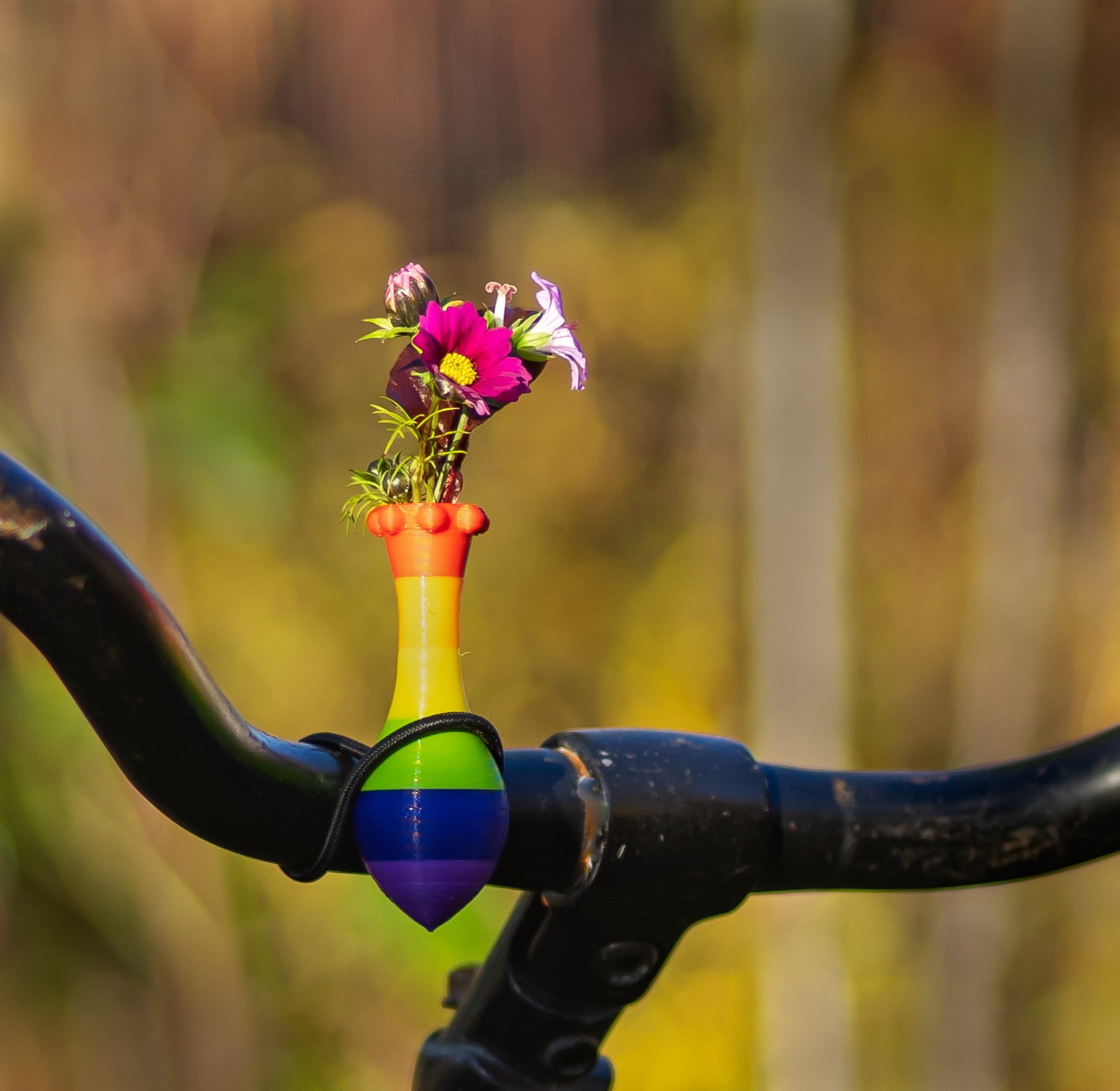 1x Bike Vase Rainbow. 3D Printed Model With Colored Elastic - Etsy UK