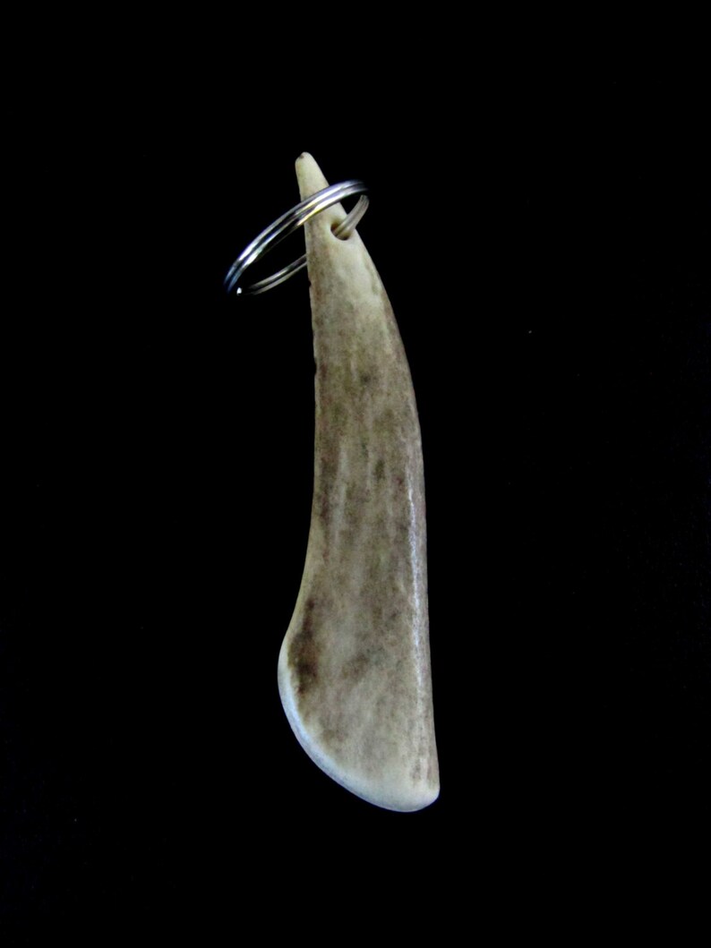 Natural Deer Antler Brow Tine Key Ring,key Fob,charm,pendant,necklace ...