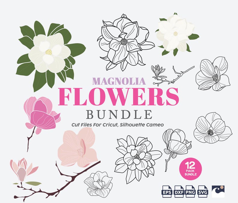 Magnolia Flowers Svg Bundle, Outline, Magnolia Svg, Magnolia Drawing ...