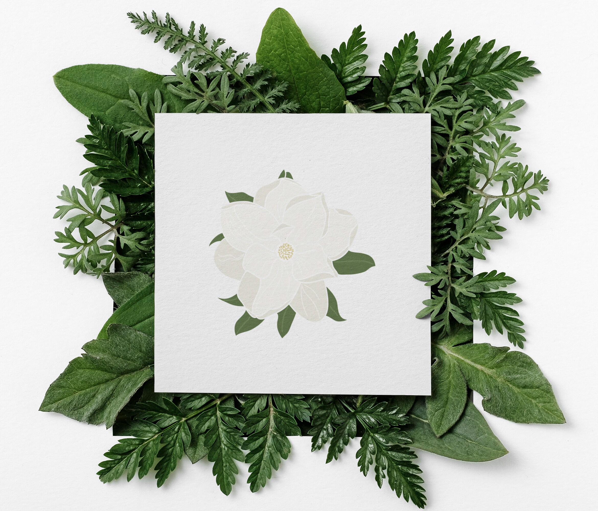 Magnolia Flowers Svg Bundle, Outline, Magnolia Svg, Magnolia Drawing ...