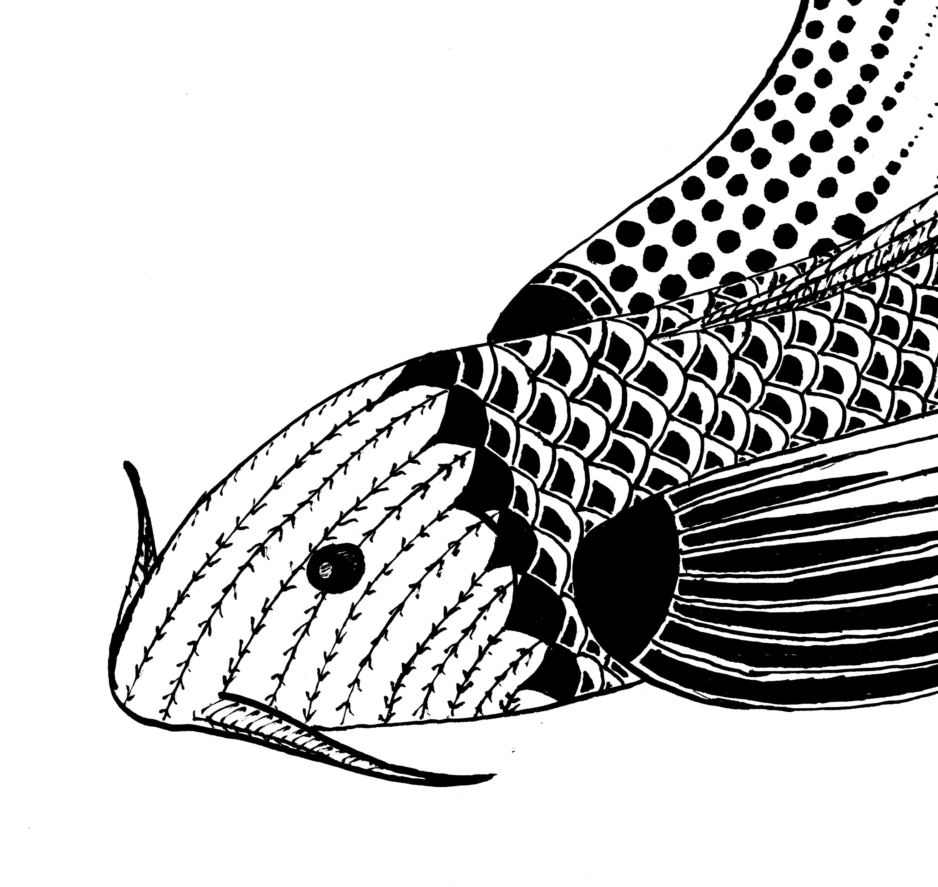 Black & White Abstract Zentangle Koi Fish Drawing Print - Etsy