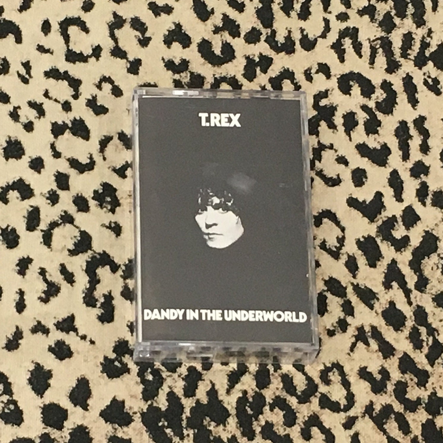 T Rex Dandy In The Underworld