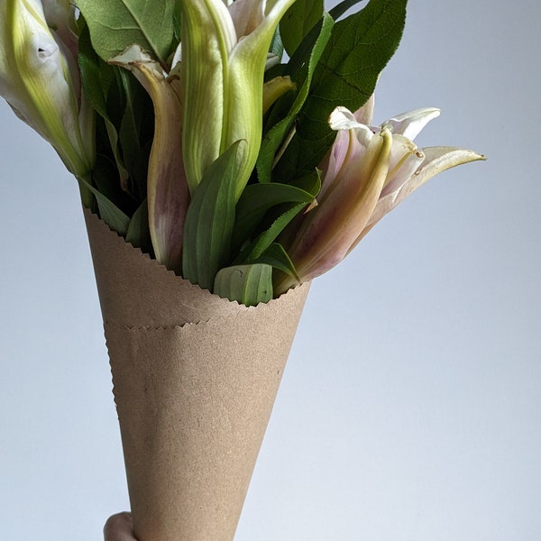 Paper Cones - Etsy