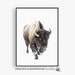 Bison Printable Bison Poster Bison Wall Art Buffalo Wall - Etsy Canada
