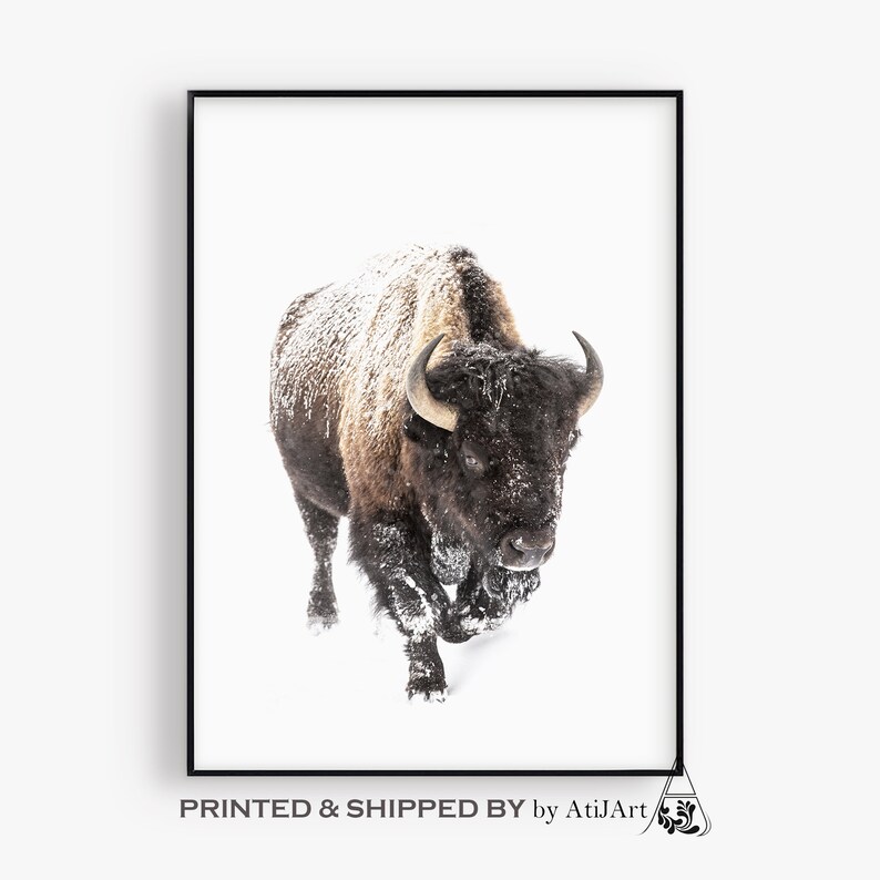 Bison Printable Bison Poster Bison Wall Art Buffalo Wall - Etsy Canada