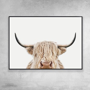 Highland Cow Print,farmhouse Decor,cow Poster,farm Animal Wall Art ...