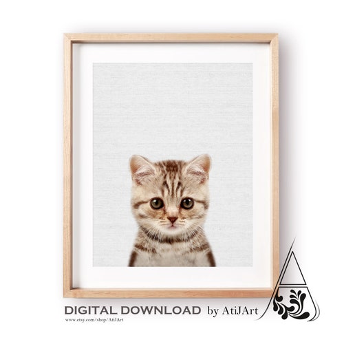 Kitten Print Nursery Baby Animal Wall Art Large Poster - Etsy