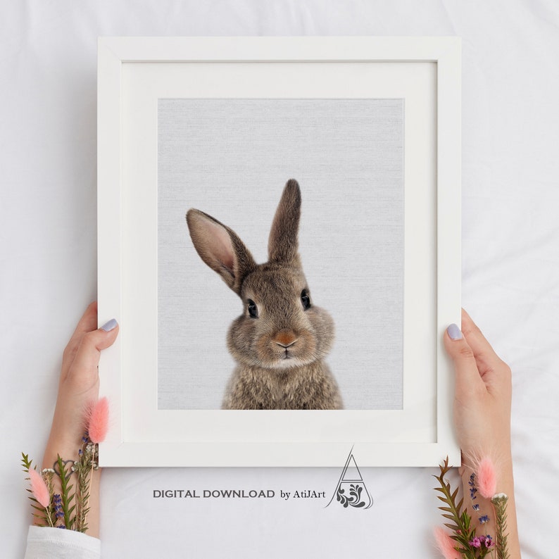 Nursery Animal print Rabbit Print Wall Art Woodlands Nursery | Etsy