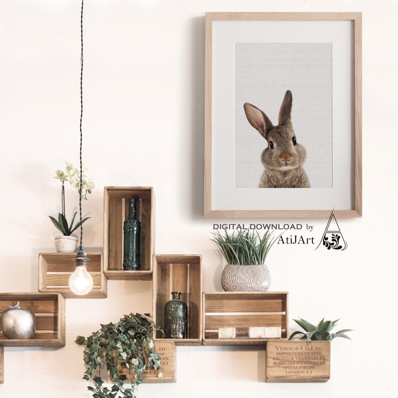 Nursery Animal Print Rabbit Print Wall Art Woodlands Nursery - Etsy