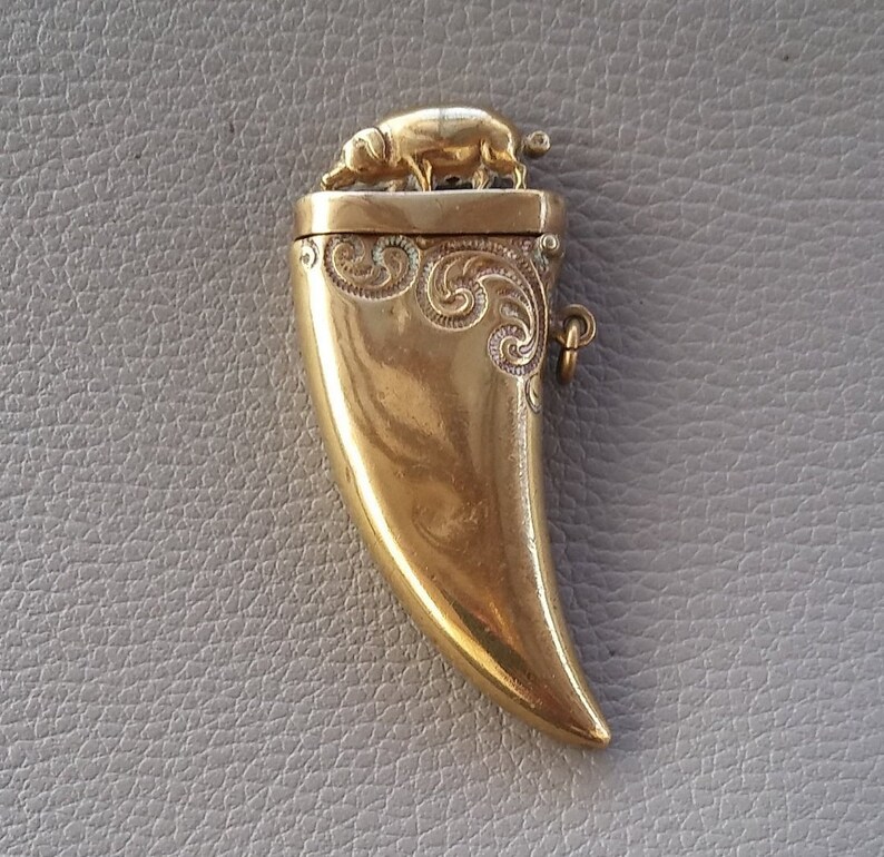 Engraved Brass Vesta Case or Match Case Tusk Shaped With a - Etsy