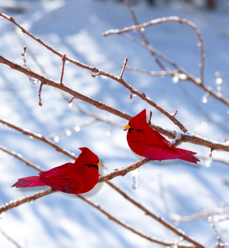 Artificial Red Cardinal Bird 3 12 Pack 12 Flocked Red - Etsy