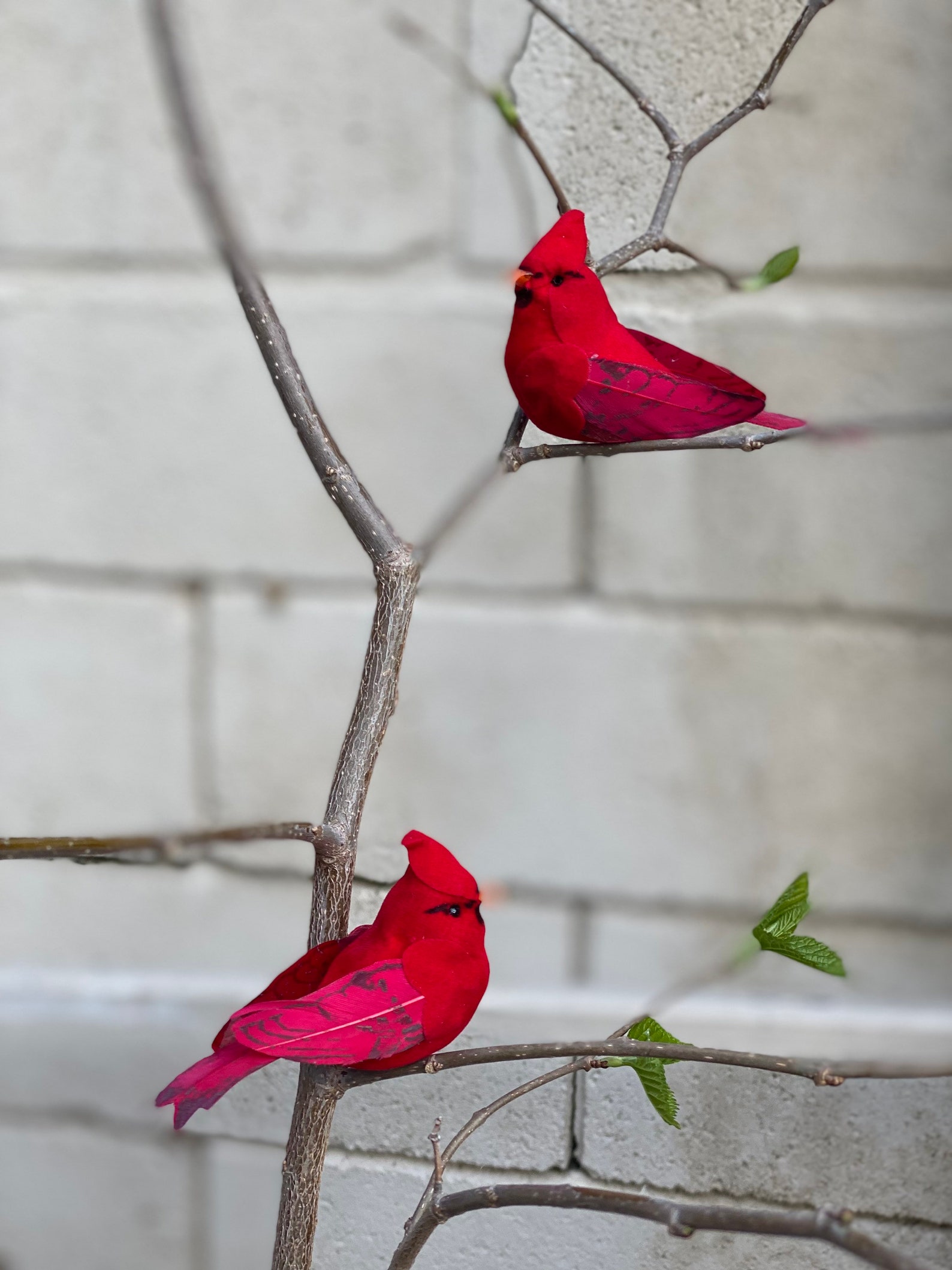 Artificial Red Cardinal Bird 3 12 Pack 12 Flocked Red | Etsy