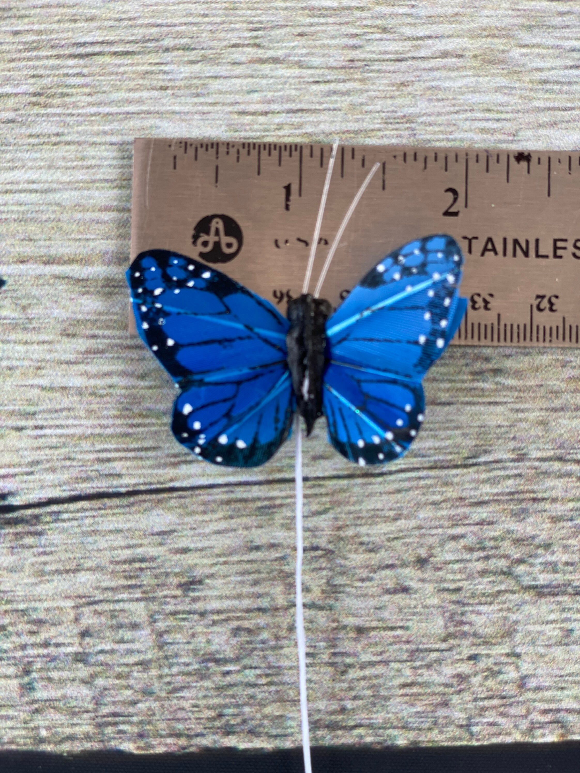 12 Feather Blue Monarch Butterflies 2inch Artificial Feather | Etsy