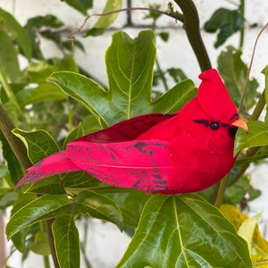 Artificial Red Cardinal Bird 3 12 Pack 12 Flocked Red Cardinal Mushroom ...