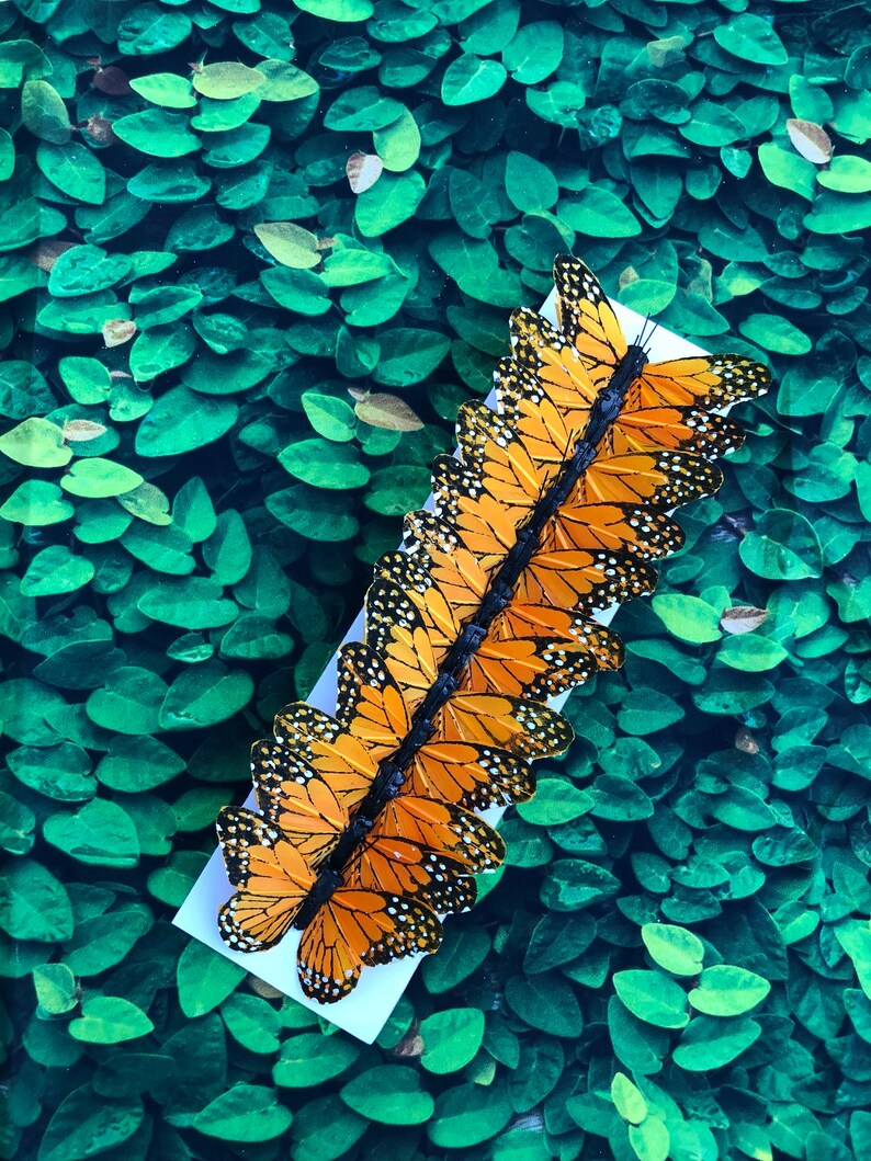 12 Feather Monarch Butterfly 3inch Artificial Feather Orange - Etsy