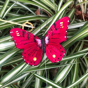 12 Large Feather Red Monarch Butterfly 5inch Artificial Feather ...