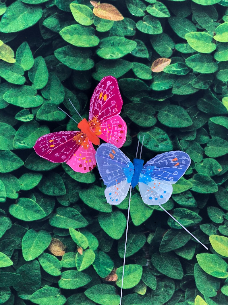 12 Feather Rainbow Assorted Butterflies 3inch Monarch | Etsy