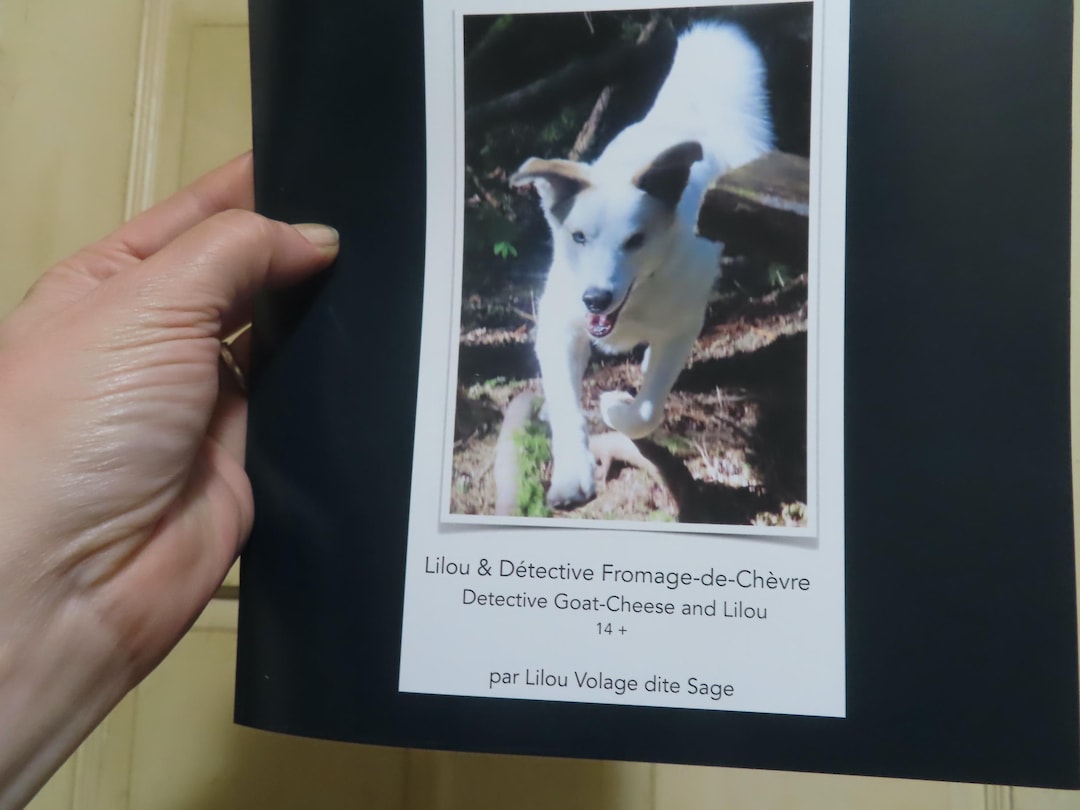 Detective Goat-cheese Bilingual PRINT Book by Lilou Volage - Etsy