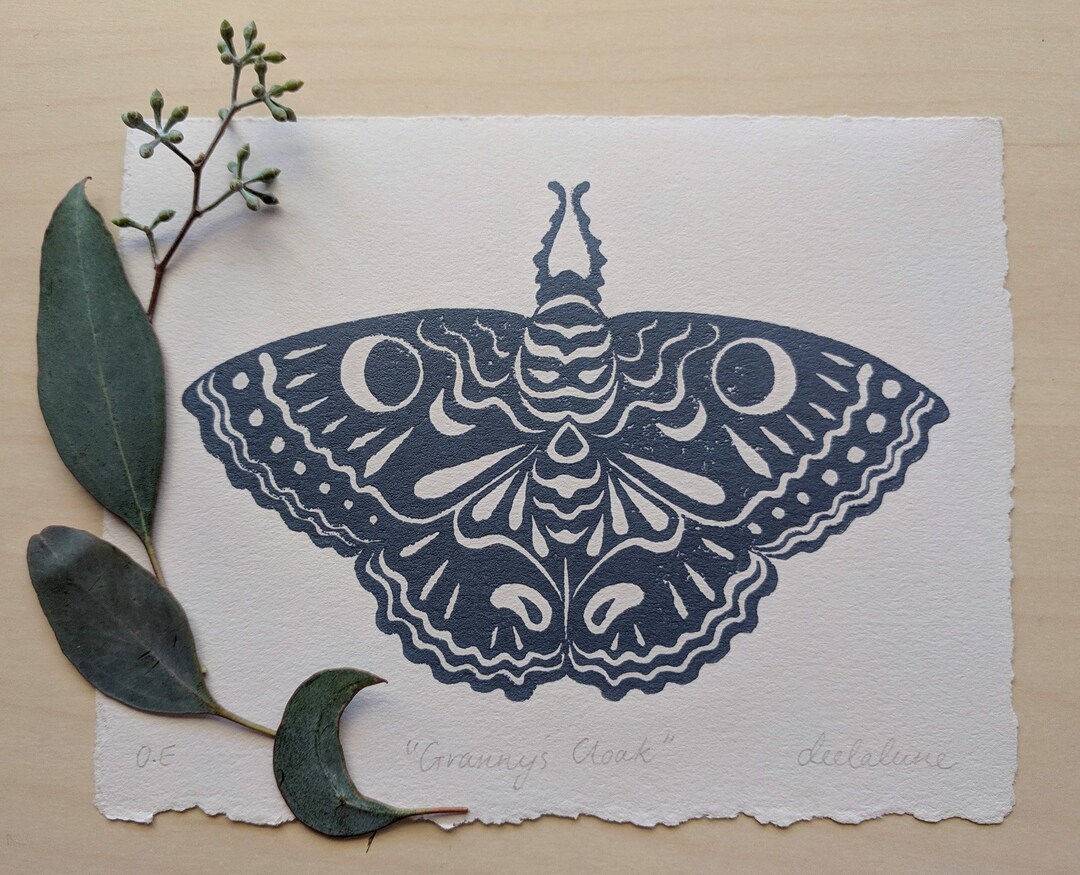 Moth Lino Cut Art Print Original Fine Art Moth Fine Art - Etsy