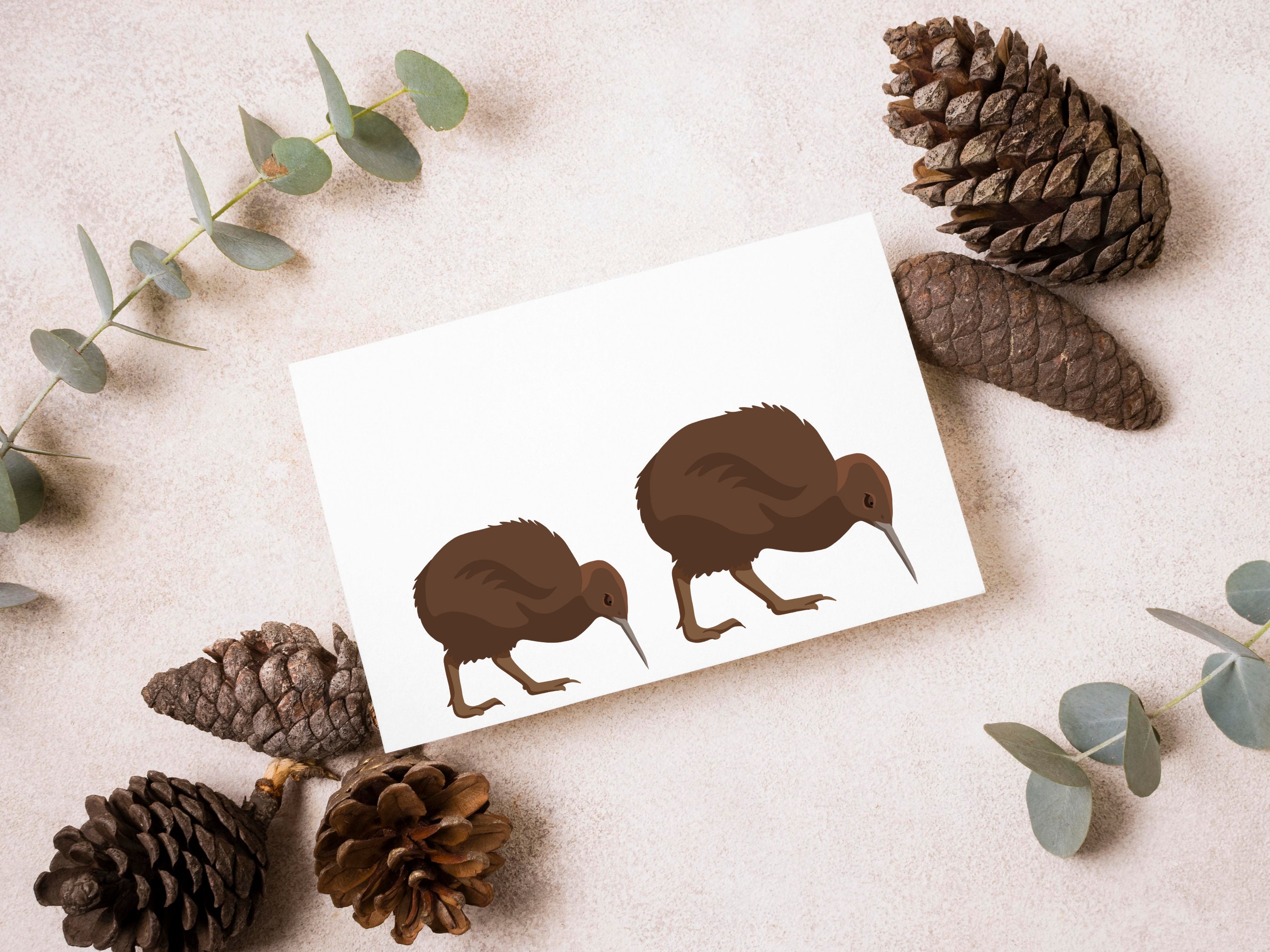 Layered Bird SVG, New Zealand Bird PNG, Colourful Bird Art, New Zealand ...