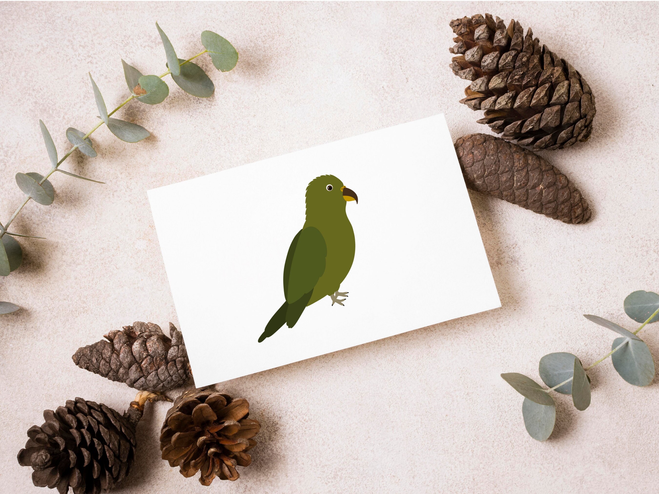 Layered Kea SVG New Zealand Kea PNG Colourful Bird Design - Etsy