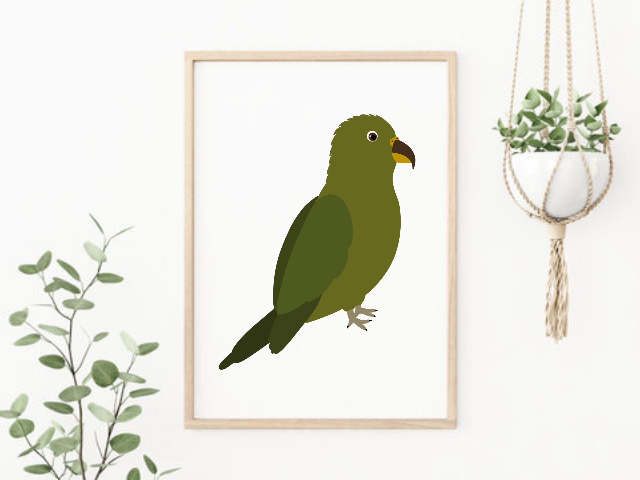 Layered Kea SVG New Zealand Kea PNG Colourful Bird Design - Etsy