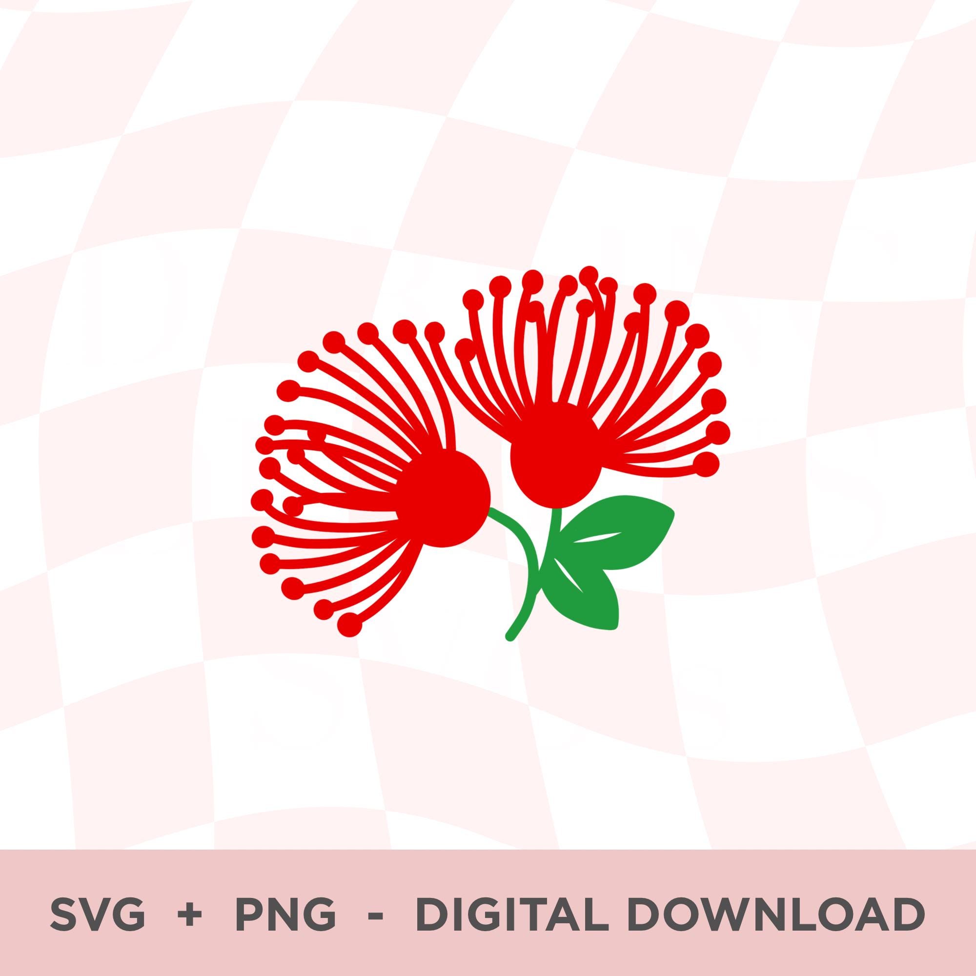Pohutukawa Flower SVG, New Zealand Kiwiana, Nz Icons PNG, Pohutukawa ...