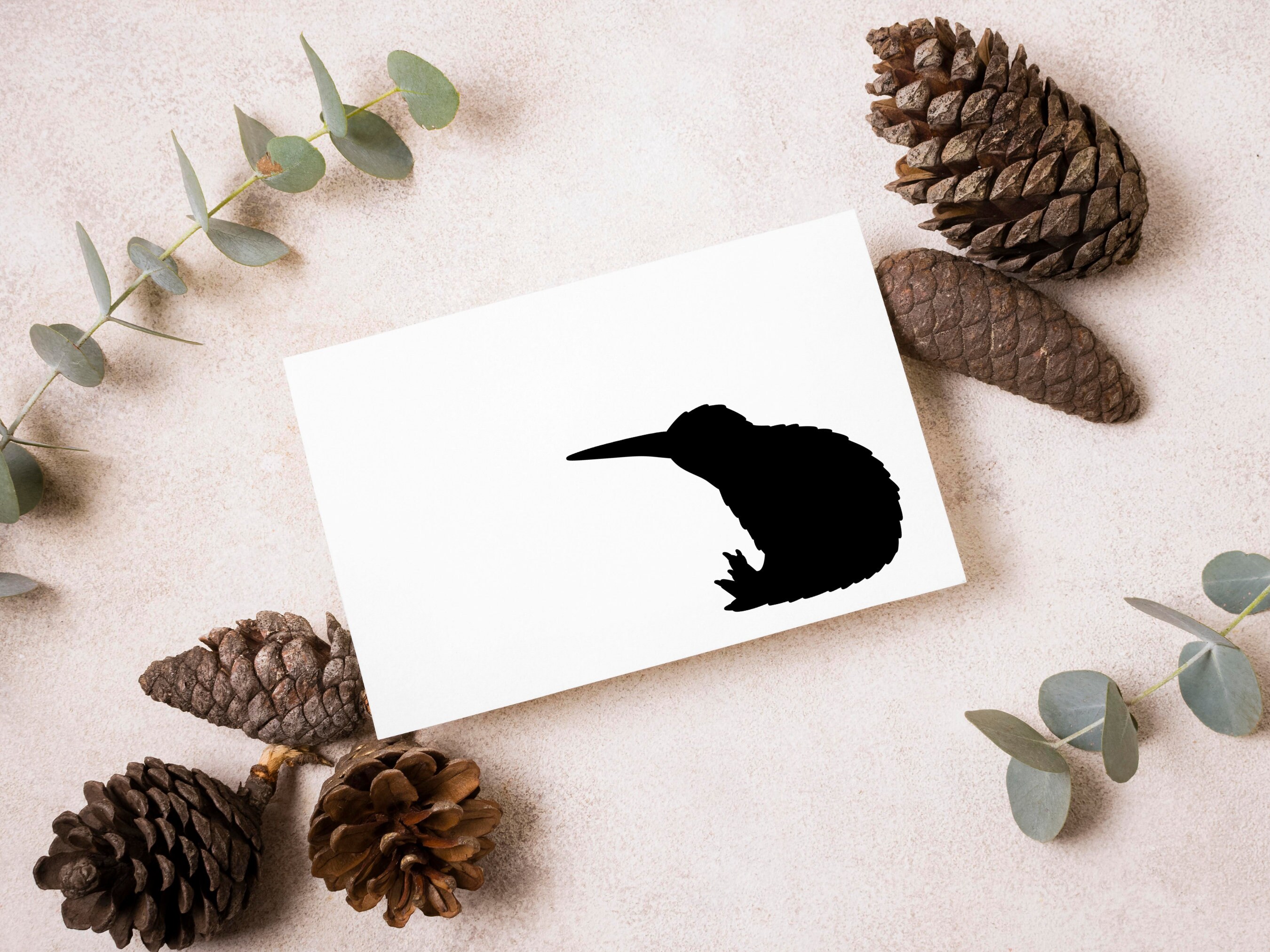 NZ Kiwi SVG Bundle, Kiwi Outline Svg, Kiwi Silhouette Png, Aotearoa, Nz ...