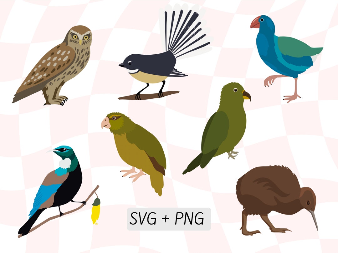 Layered Bird SVG, New Zealand Bird PNG, Colourful Bird Art, New Zealand ...