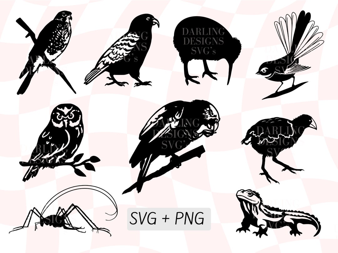 NZ Birds SVG Bundle, Nz Native Birds Svg, New Zealand Wildlife, Nz ...