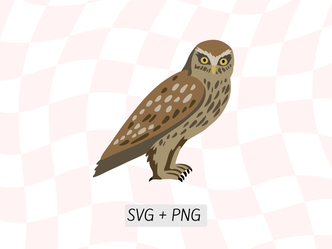 NZ Ruru Bird Layered SVG, New Zealand Morepork PNG, Owl Cipart,layered ...