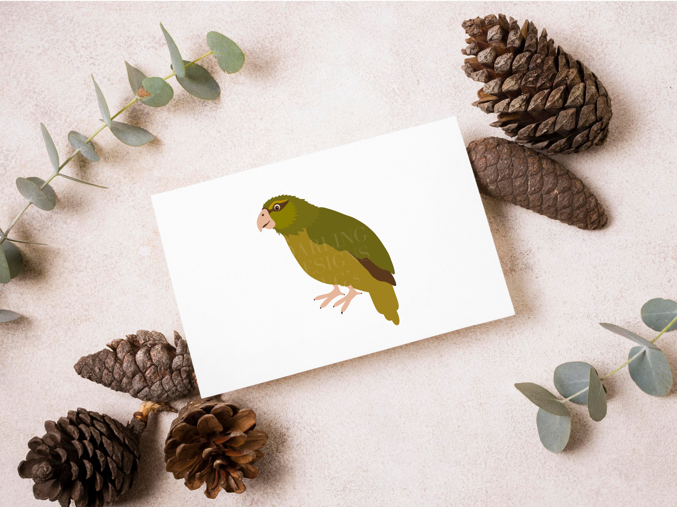 Layered Kakapo SVG, New Zealand Kakapo PNG, Colourful Bird Design, New ...