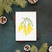 Kowhai Flower SVG, New Zealand Kiwiana, Nz Fauna PNG, Yellow Kōwhai ...