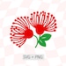Pohutukawa Flower SVG, New Zealand Kiwiana, Nz Icons PNG, Pohutukawa ...