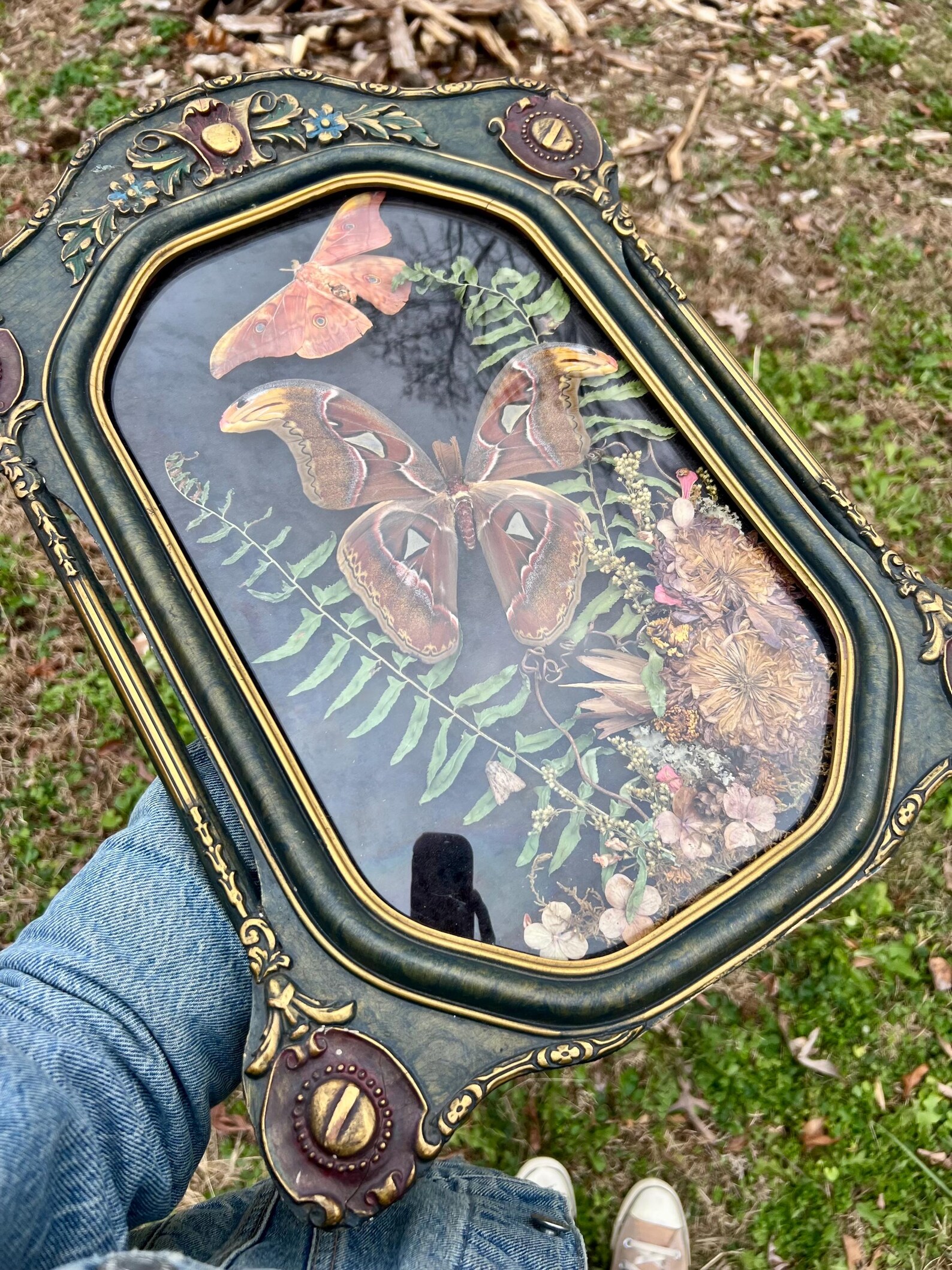 Mario; Antique Column Frame With an Atlas Moth. - Etsy