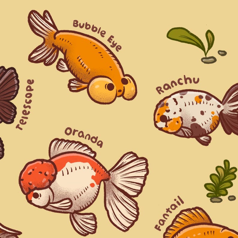 Cute Fancy Goldfish Breeds Giclee Art Print, 8x10, Wall Decor, Gold ...