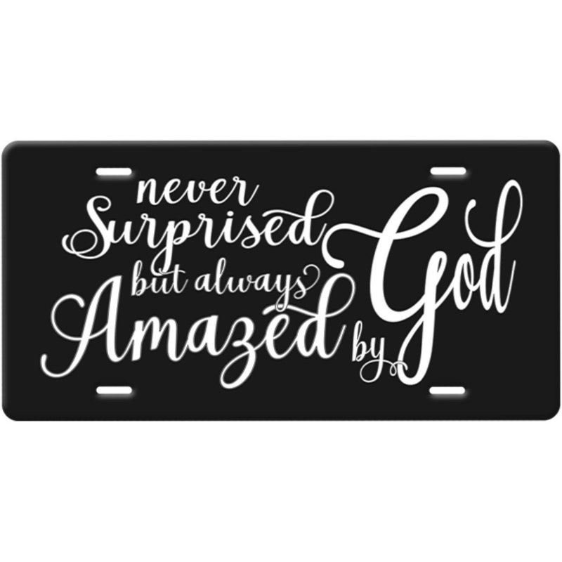 Bible License Plate - Etsy