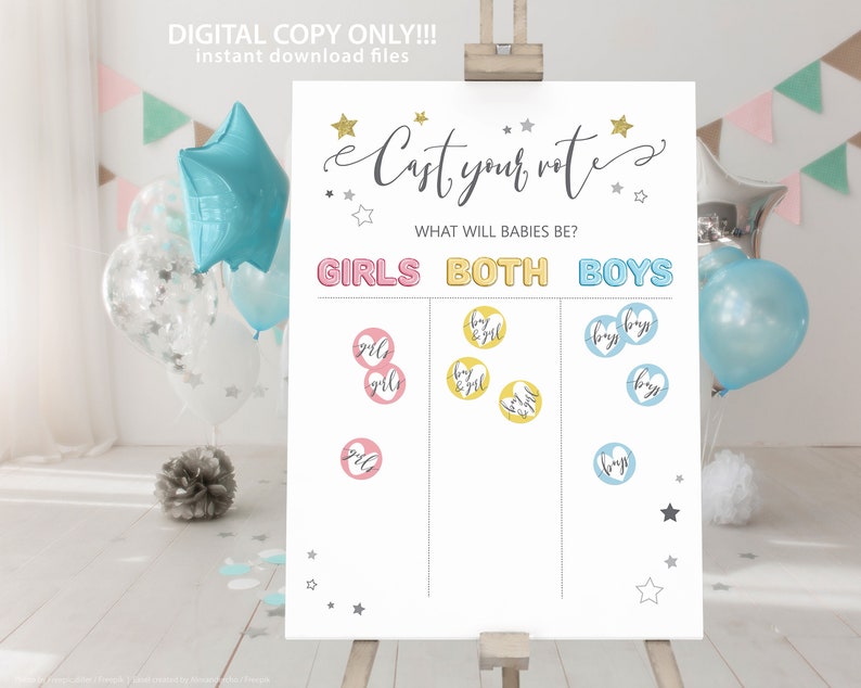 Cast Your Vote Twins Gender Reveal Guess the Gender Girls - Etsy