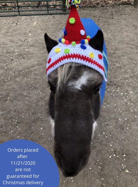 Horse Bonnet Horse Party Hat Horse Birthday Hat Party | Etsy